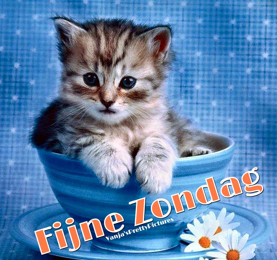 Zondag Facebook Plaatjes » Animaatjes.nl