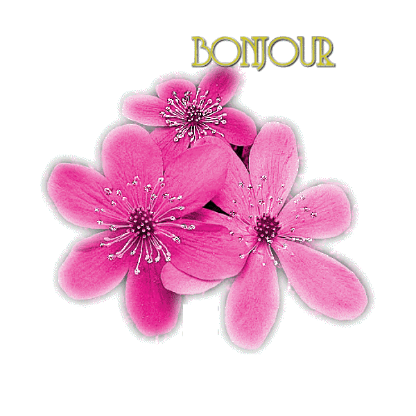 Bonjour Rose Bonjour Mon Amour Hand Lettered Font By Jenna Kast