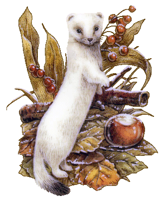 Fretten Plaatje » Animaatjes.nl