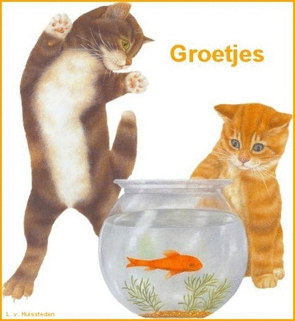 Plaatje Groetjes » Animaatjes.nl