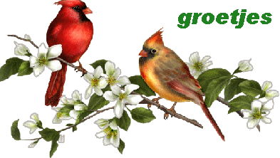 Plaatje Groetjes » Animaatjes.nl