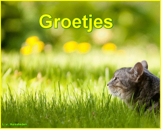 Plaatje Groetjes » Animaatjes.nl