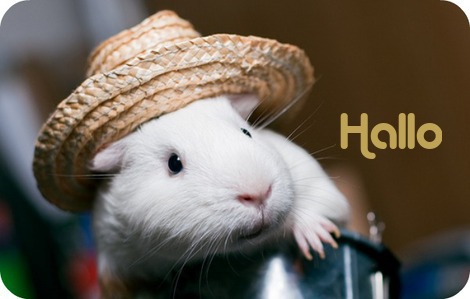 Plaatje Hallo » Animaatjes.nl