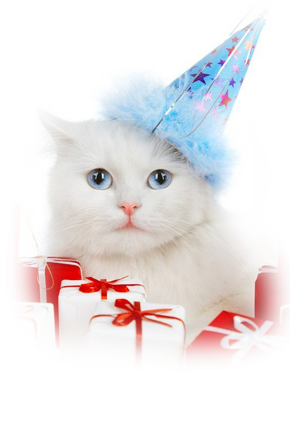 Katten Plaatje » Animaatjes.nl