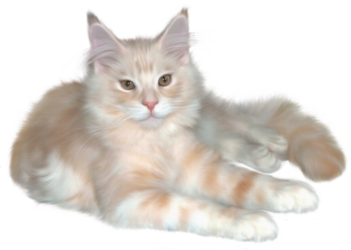 Katten Plaatje » Animaatjes.nl