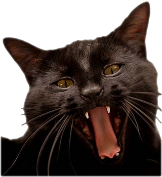 Katten Plaatje » Animaatjes.nl