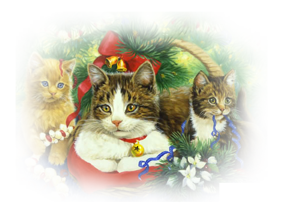 Plaatje Kerst Katten » Animaatjes.nl