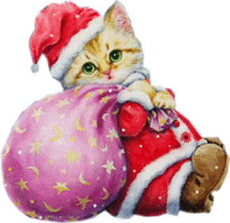 Plaatje Kerst Katten » Animaatjes.nl