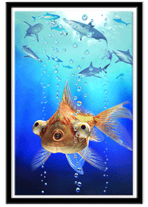 Vissen Plaatje » Animaatjes.nl